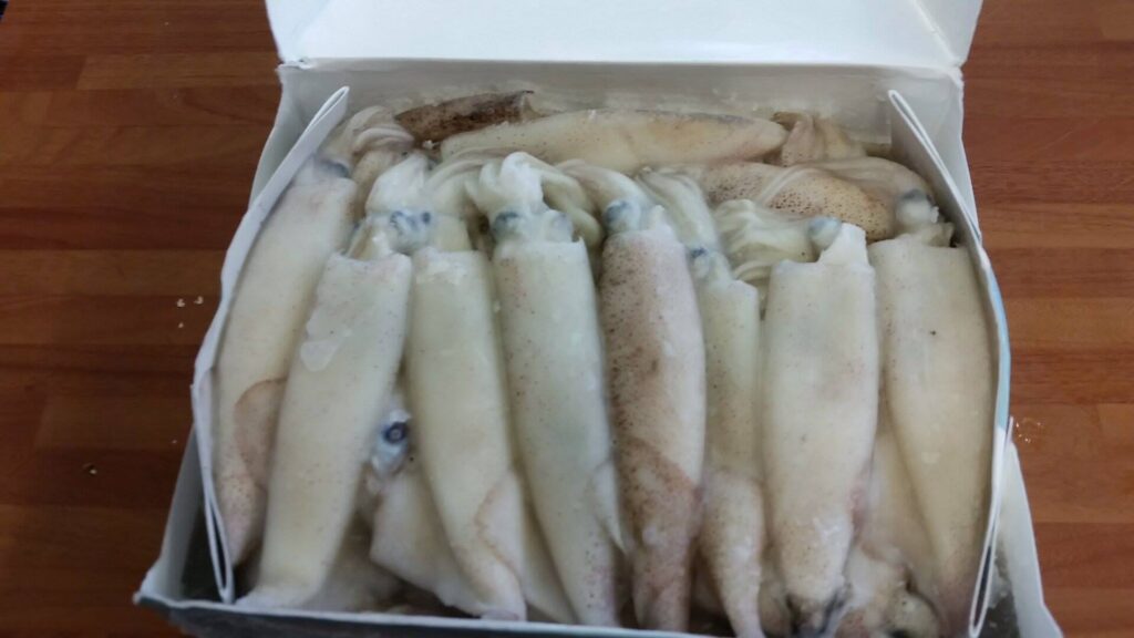 calamari squid 5 lb box,frozen calimari
