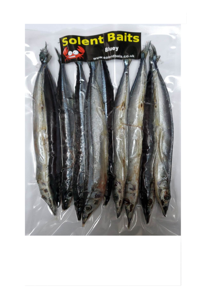 Bluey 10 Pack – Frozen Sea Fishing Bait (UK) | Solent Baits & Tackle