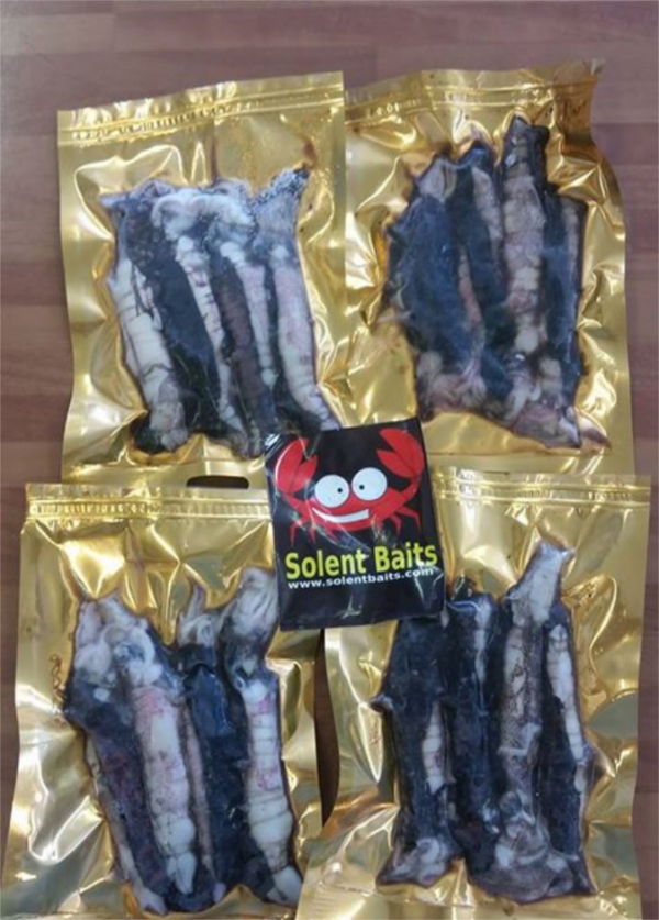 Stuffed lugworm | Solent Baits & Tackle