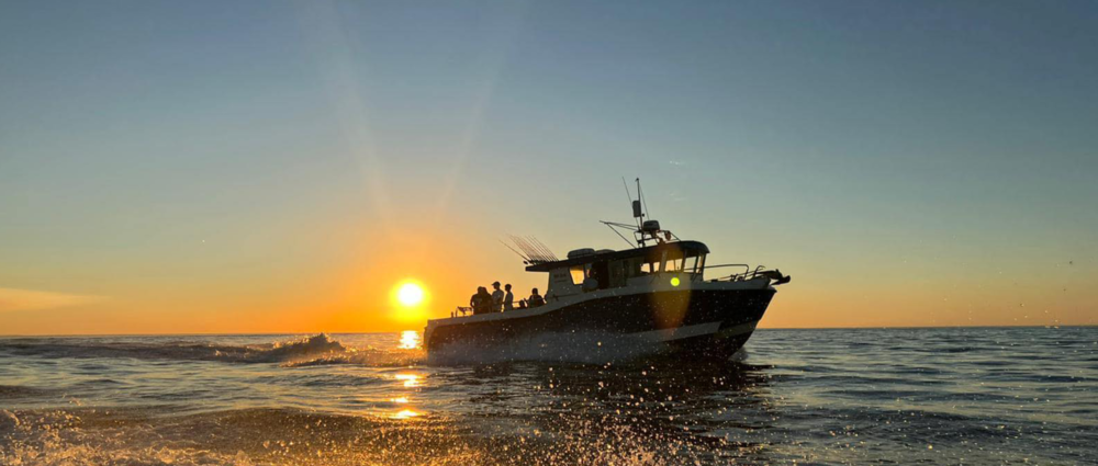 Quality Fresh and Frozen, sea Fishing Baits | Solent Baits & Tackle