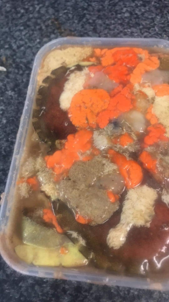 Crab Cart block 500 grams | Solent Baits & Tackle