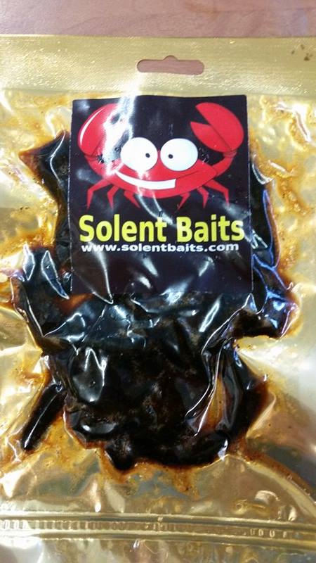 Oiled Black Lugworm ,Oiled Black lugworm,dungeness fresh baits