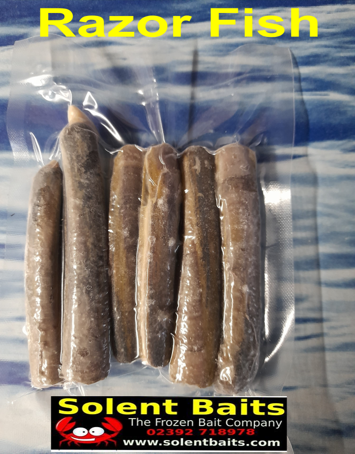Razorfish | Solent Baits & Tackle